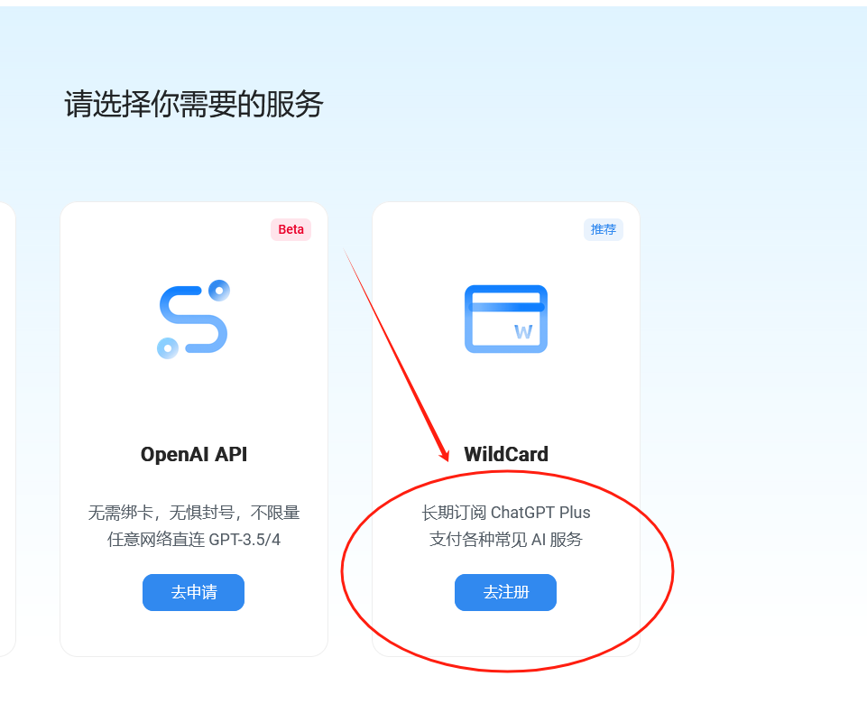 WildCard是什么？可以为我们提供什么服务？虚拟信用卡及WildCard使用教程 | 老登AI